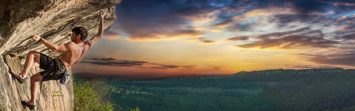 VESA - Interface Standards for The Display Industry